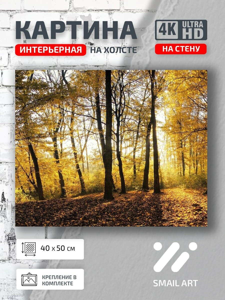 Картина на холсте интерьерная 40 на 50 на стену golden forest для спальни пейзаж