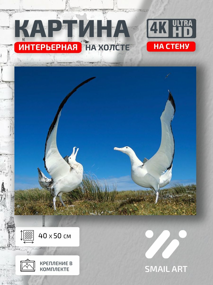 Картина на холсте интерьерная 40 на 50 на стену Ритуал Mood для офиса атмосфера интерьер