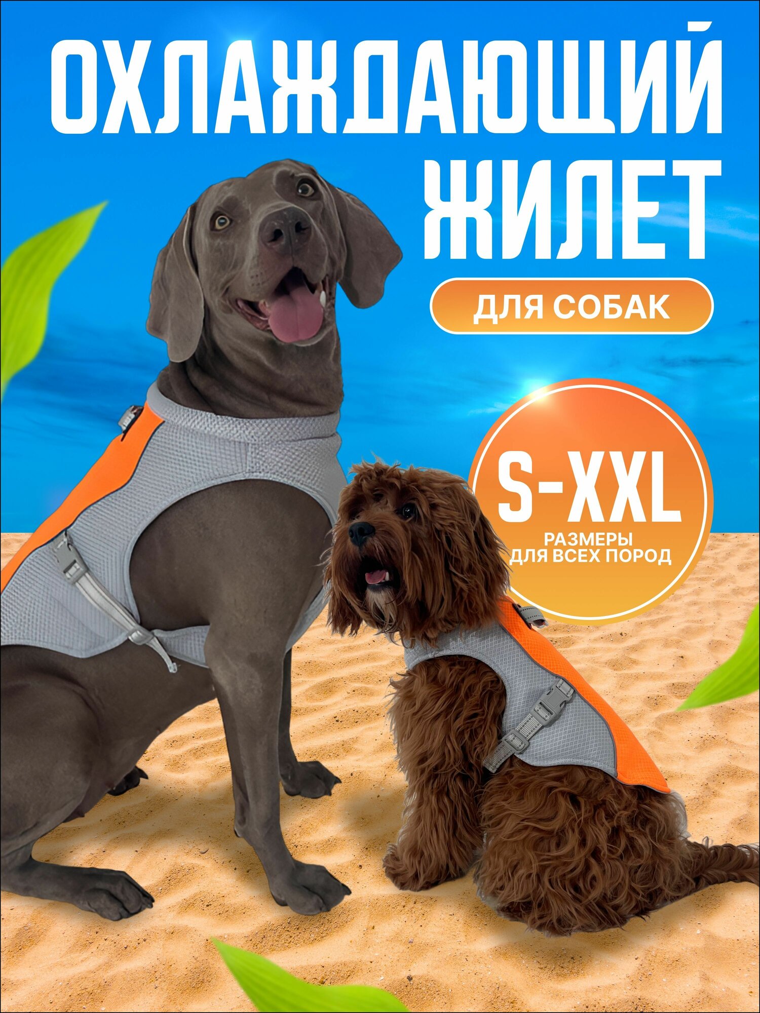 Одежда для животных