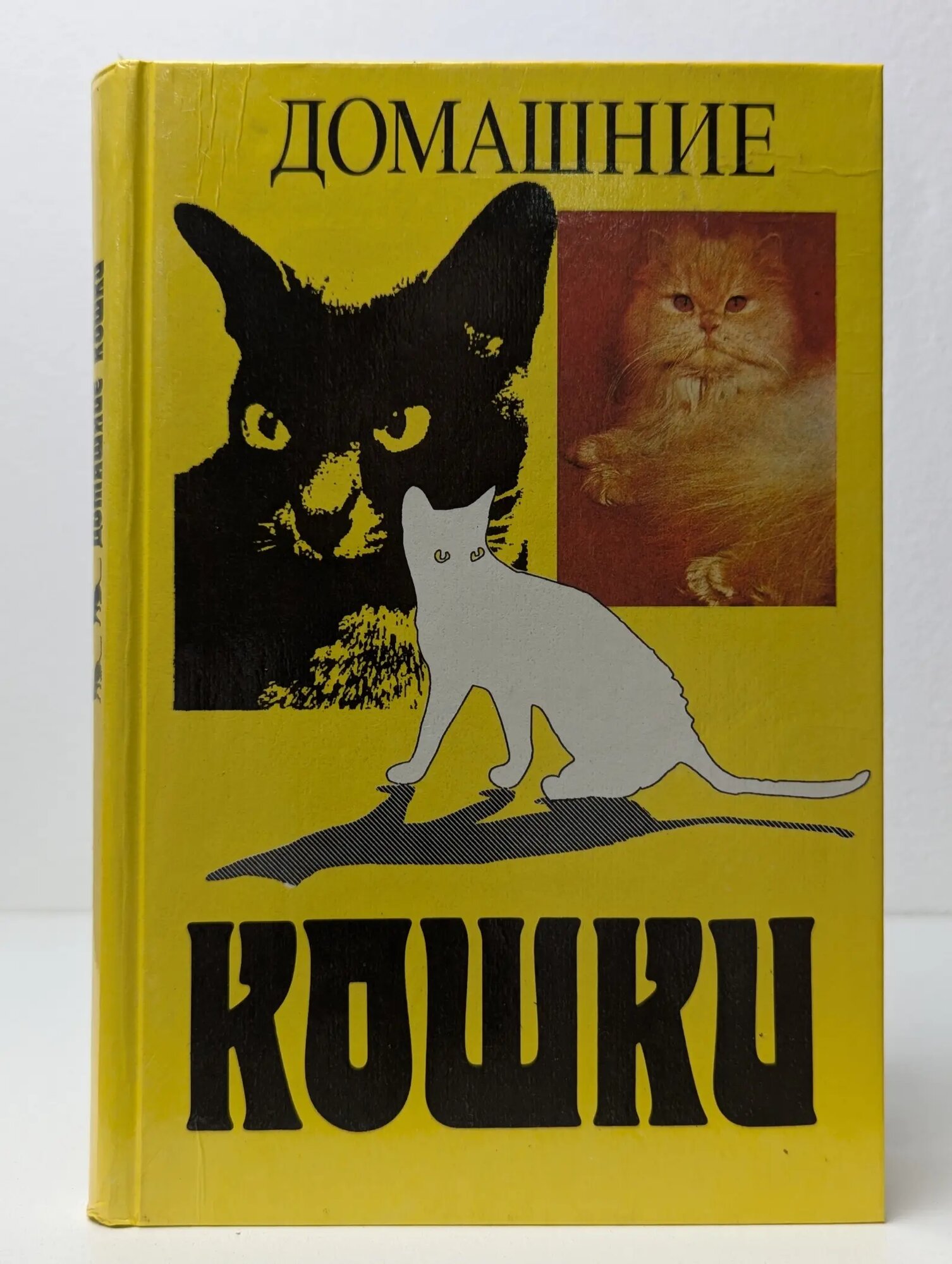 Домашние кошки Филиппов Юрий Иванович (сост.) 1991