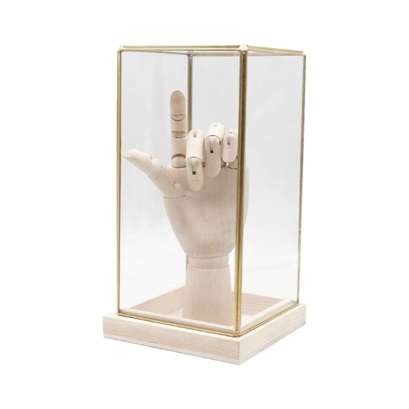 Украшение витрины ремесла украшением витрины ремесла является латунная стеклянная крышка-большая крышка и манипулятор большой