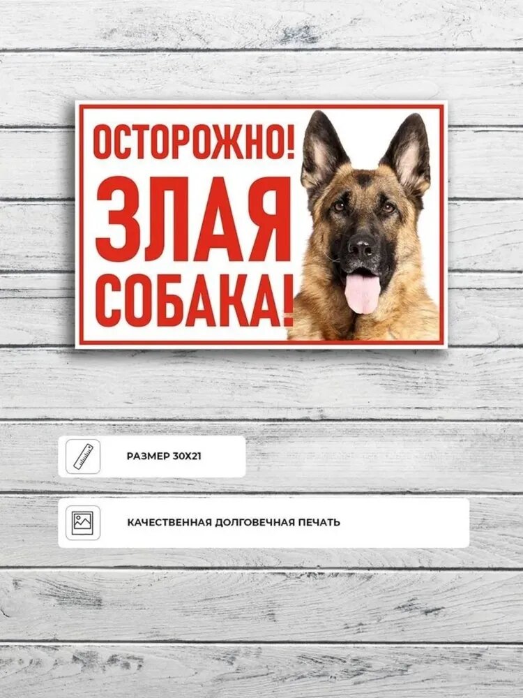 Табличка "Осторожно злая собака (Немецкая овчарка)" А4 (20х30см)