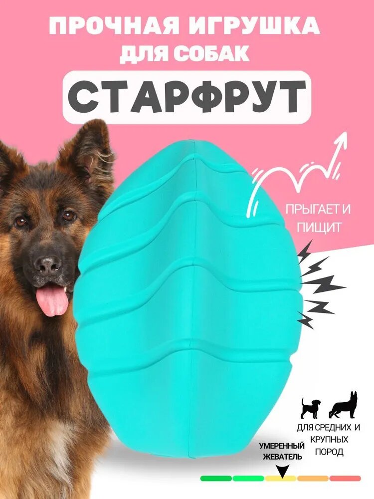 Игрушка для собак крупных и средних пород прочная с пищалкой антивандальный грызак Старфрут OllyPet