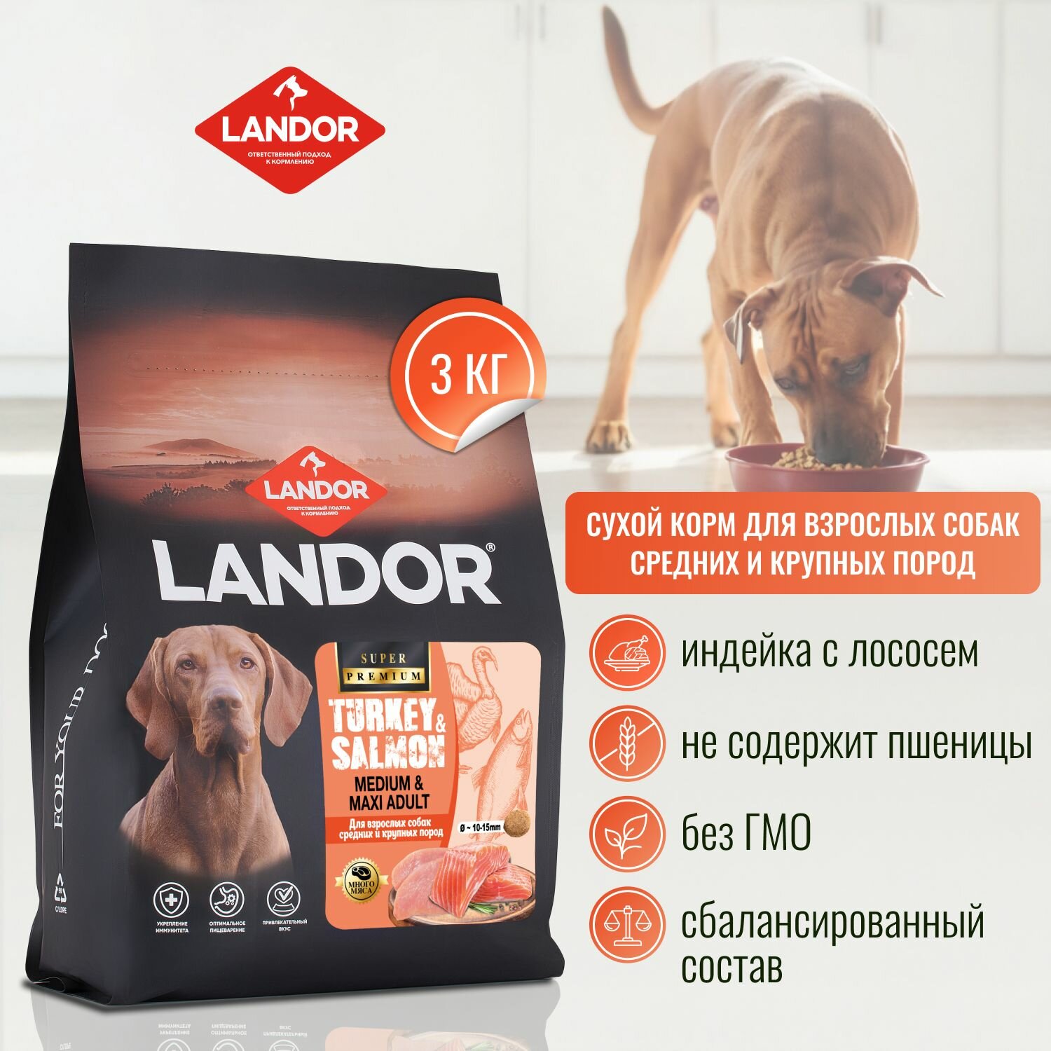 LANDOR Полнорационный сухой корм для взрослых собак средних и крупных пород c индейкой и лососем, 3 кг