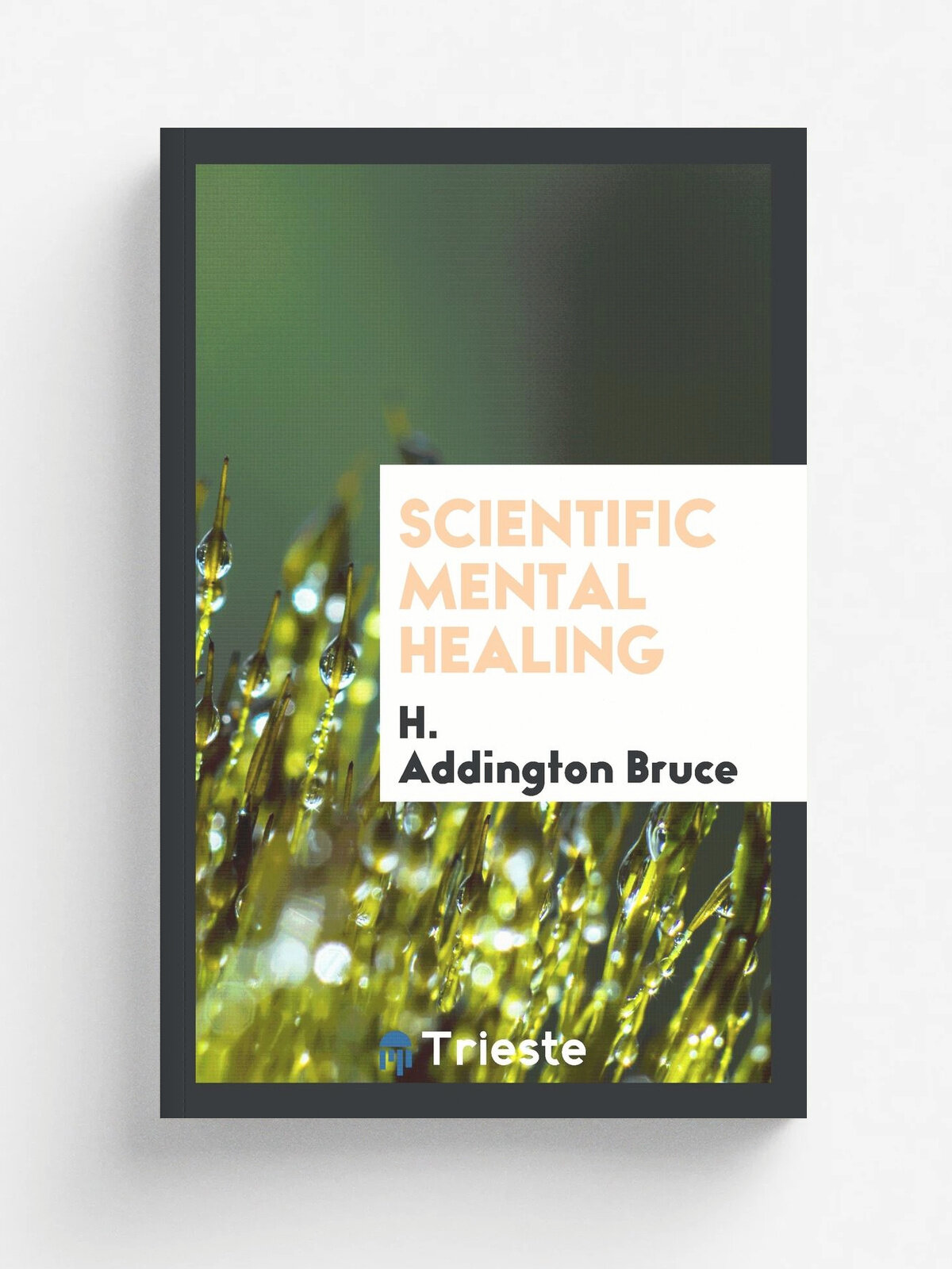 Scientific Mental Healing