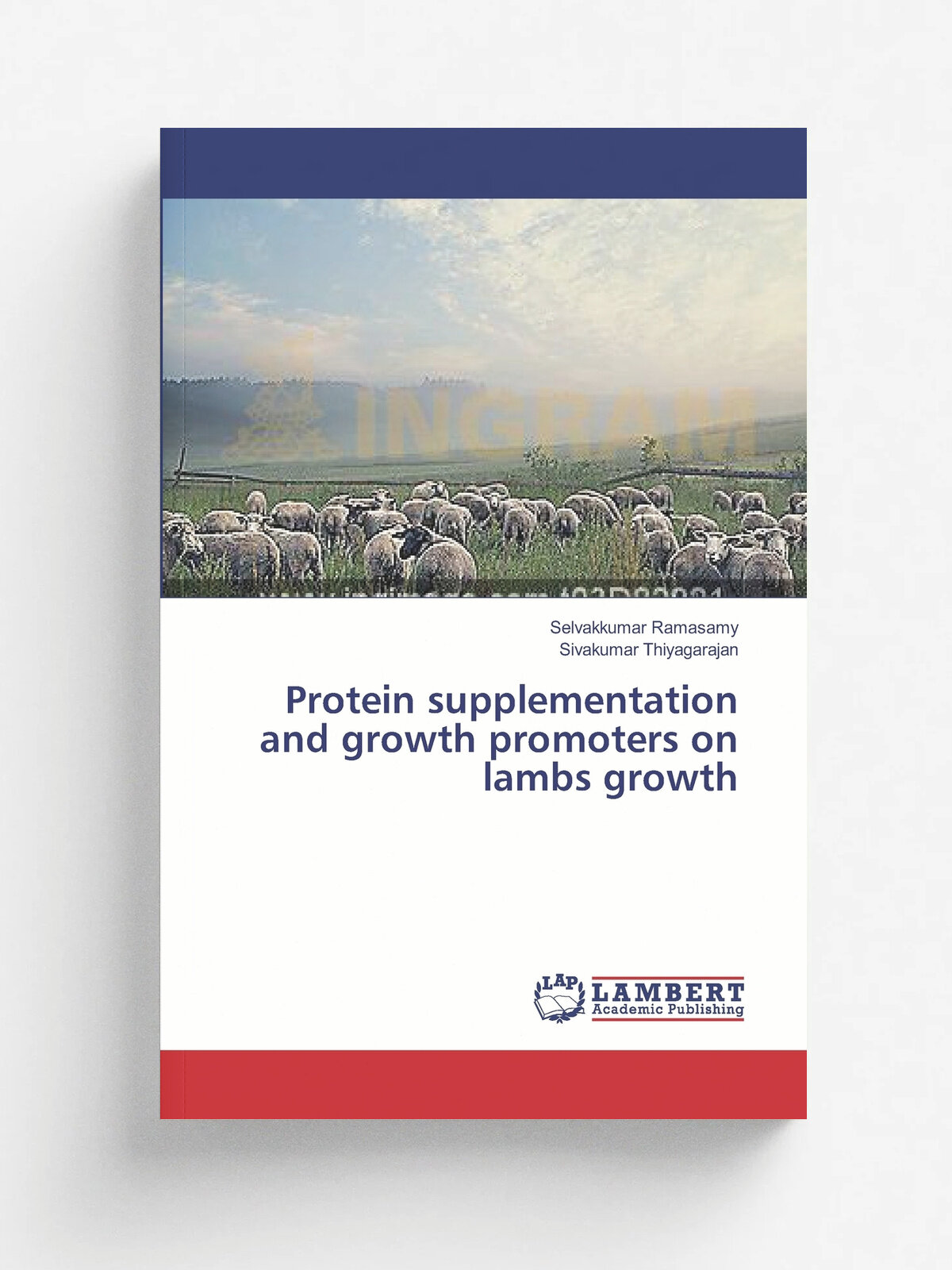 Protein supplementation and growth promoters on lambs growth