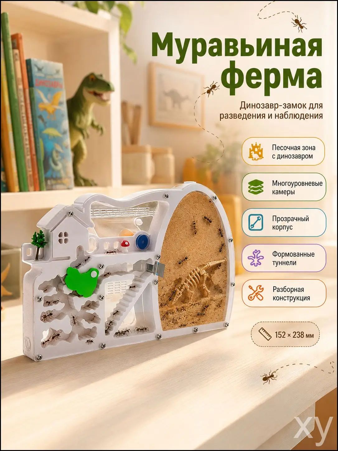 Муравьиная ферма, прозрачный корпус, арена и внешнее увлажнение, размер 152 x 238 мм G76