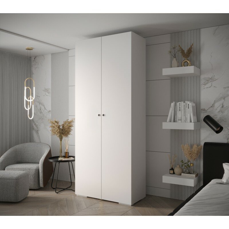 Распашной двухсекционный шкаф Тион-2 Белый Фасадный 0101 NOW 80*60*230 см Фиеста