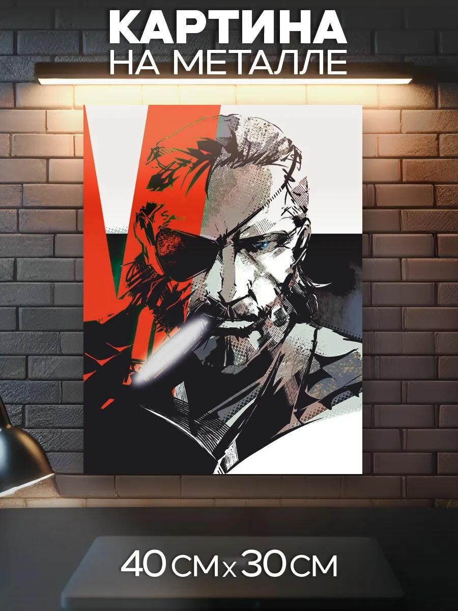 Картина на стену Metal gear solid - Биг босс
