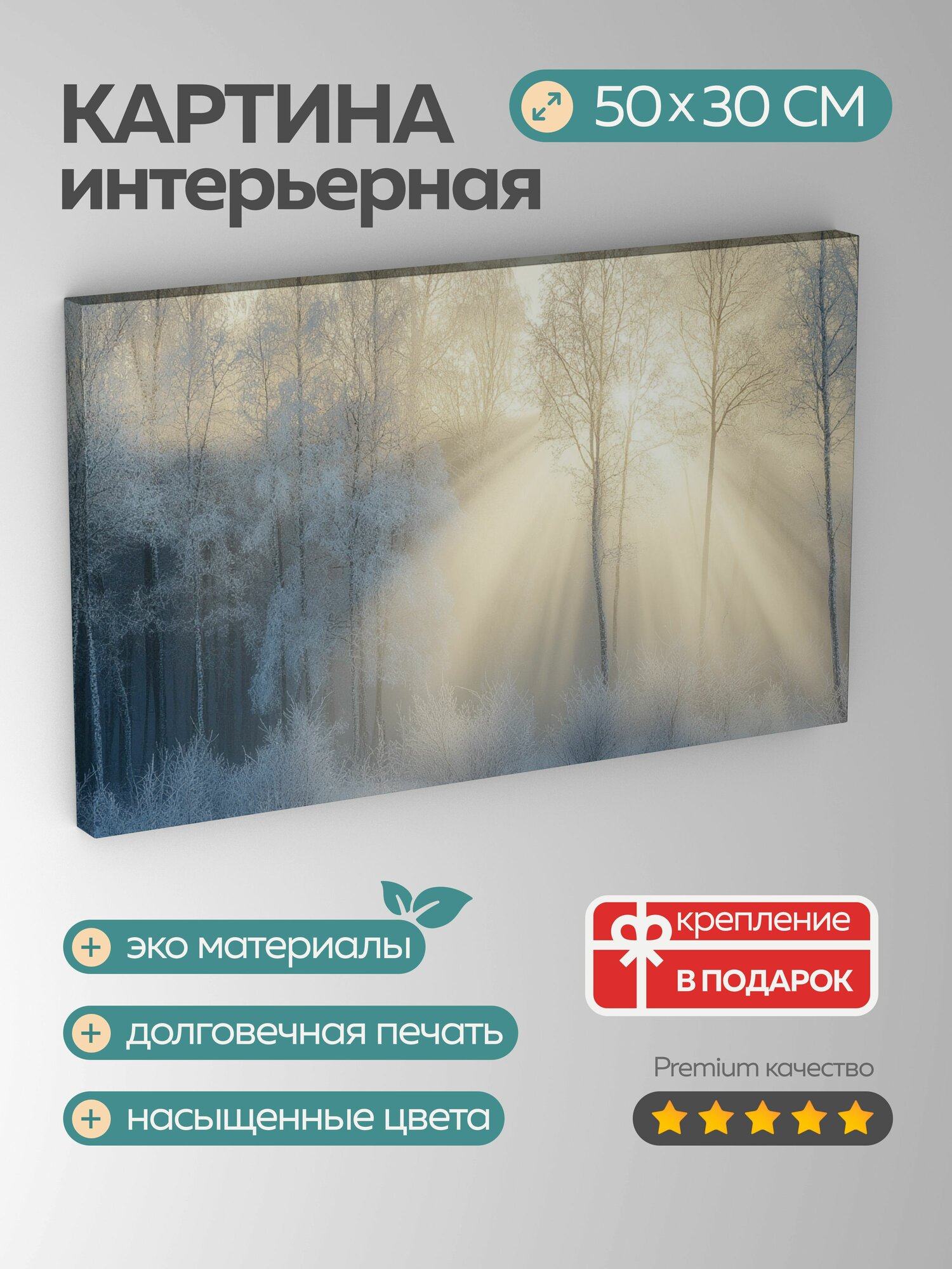 Картина на холсте интерьерная 50х30 см, Лес, иней, рассвет, кристаллы льда, ветви, свет, утро, сказочное сияние, Canon