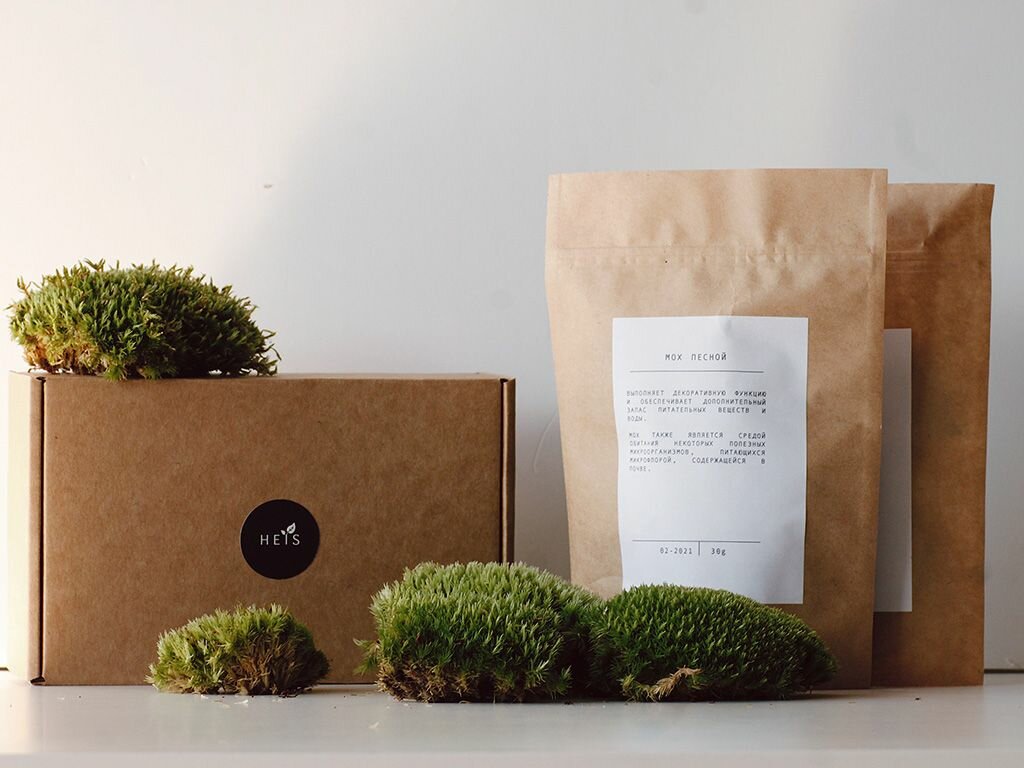 Набор для создания флорариума