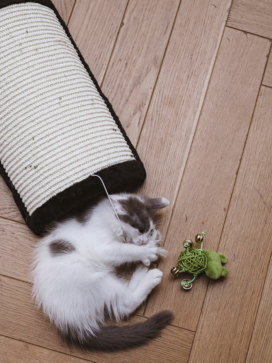 Угловая когтеточка для кошек, "Не Один Дома" Царапка, черный, M, 42х20х2 см