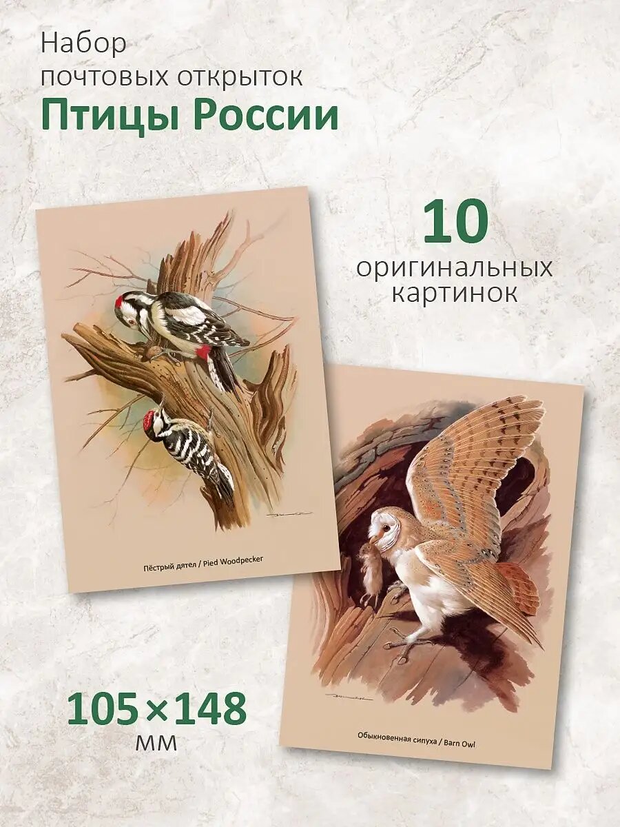 Почтовые открытки "Птицы России" для посткроссинга, набор 10 шт.