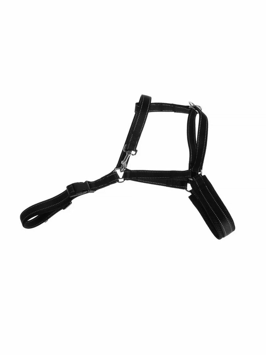 Практичный регулируемый недоуздок для коневодства