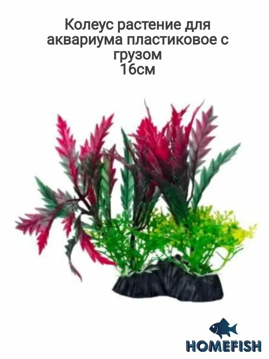 HOMEFISH 16 см Колеус растение для аквариума пластиковое с грузом