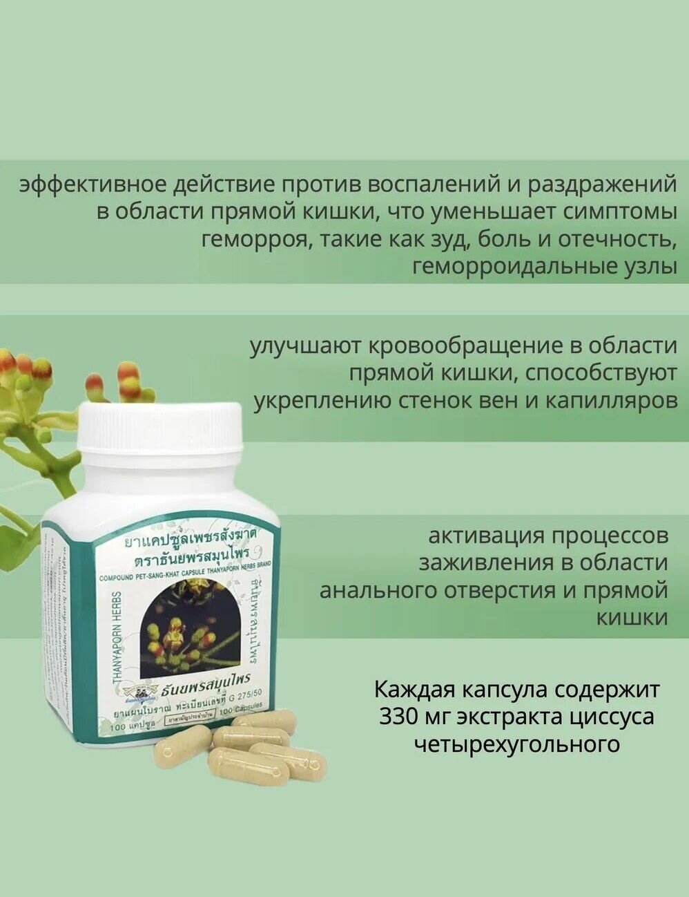 Thanyaporn Herbs Pet-Sang-Khat Тайские капсулы Пет Санг Кхат для профилактики геморроя 100шт