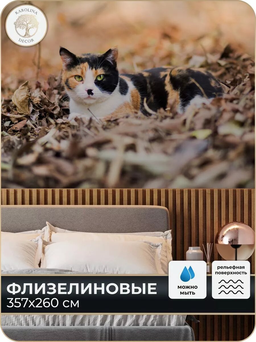 Фотообои Кот в детскую в спальню на кухню 350х260