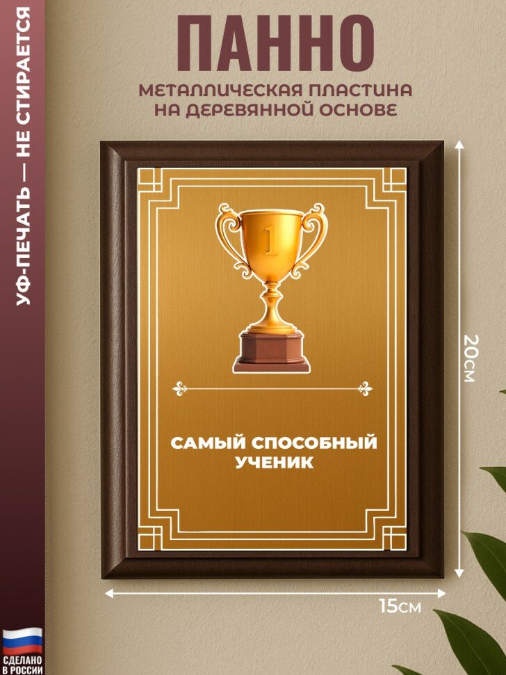 Настенный диплом "Самый способный ученик"