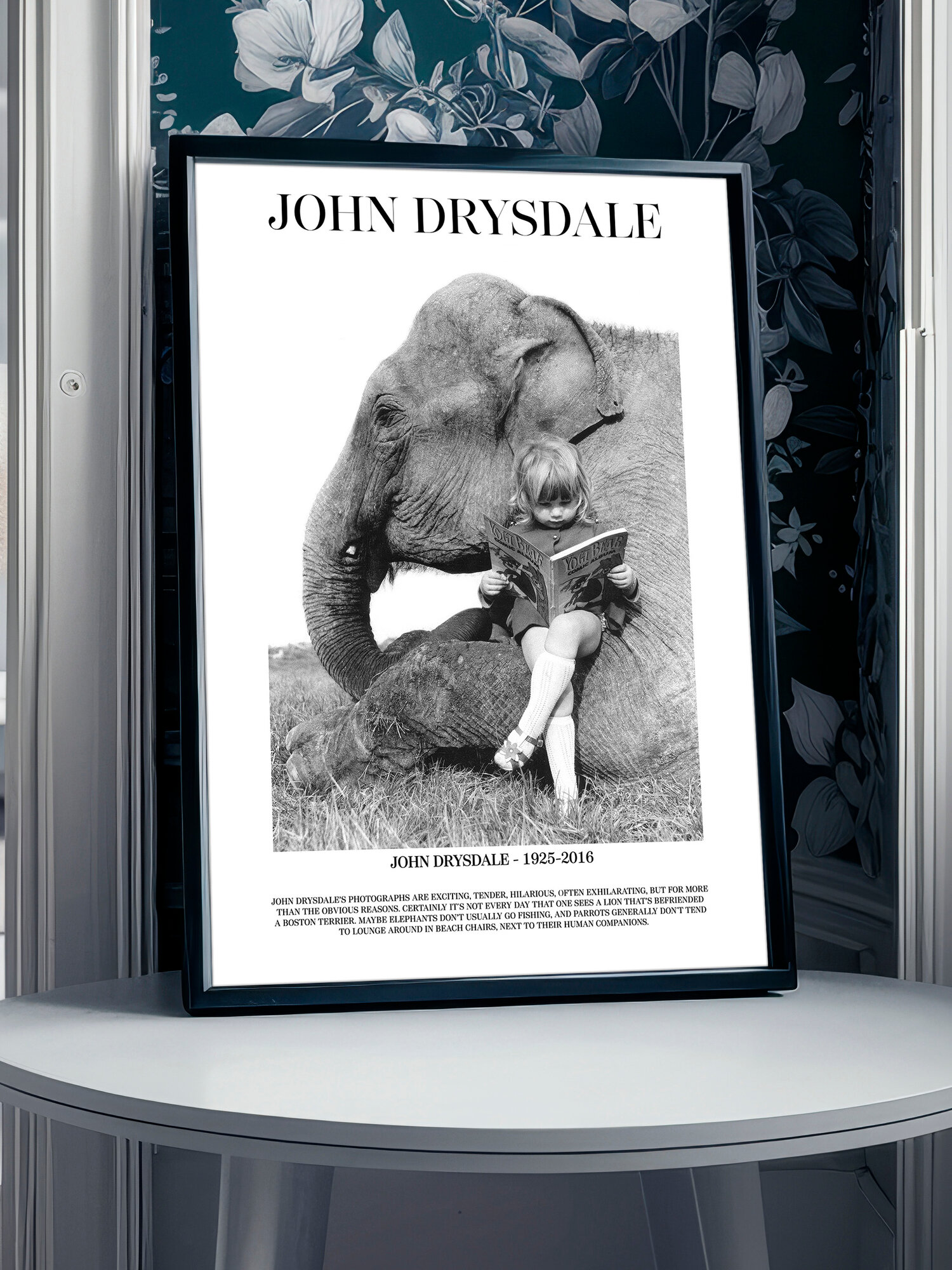 Постер фотография Джон Дрисдейл - девочка и слон 2 - 30х40