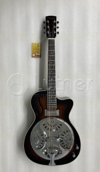 SDG-738CEQ Электро-акустическая гитара с резонатором, Caraya