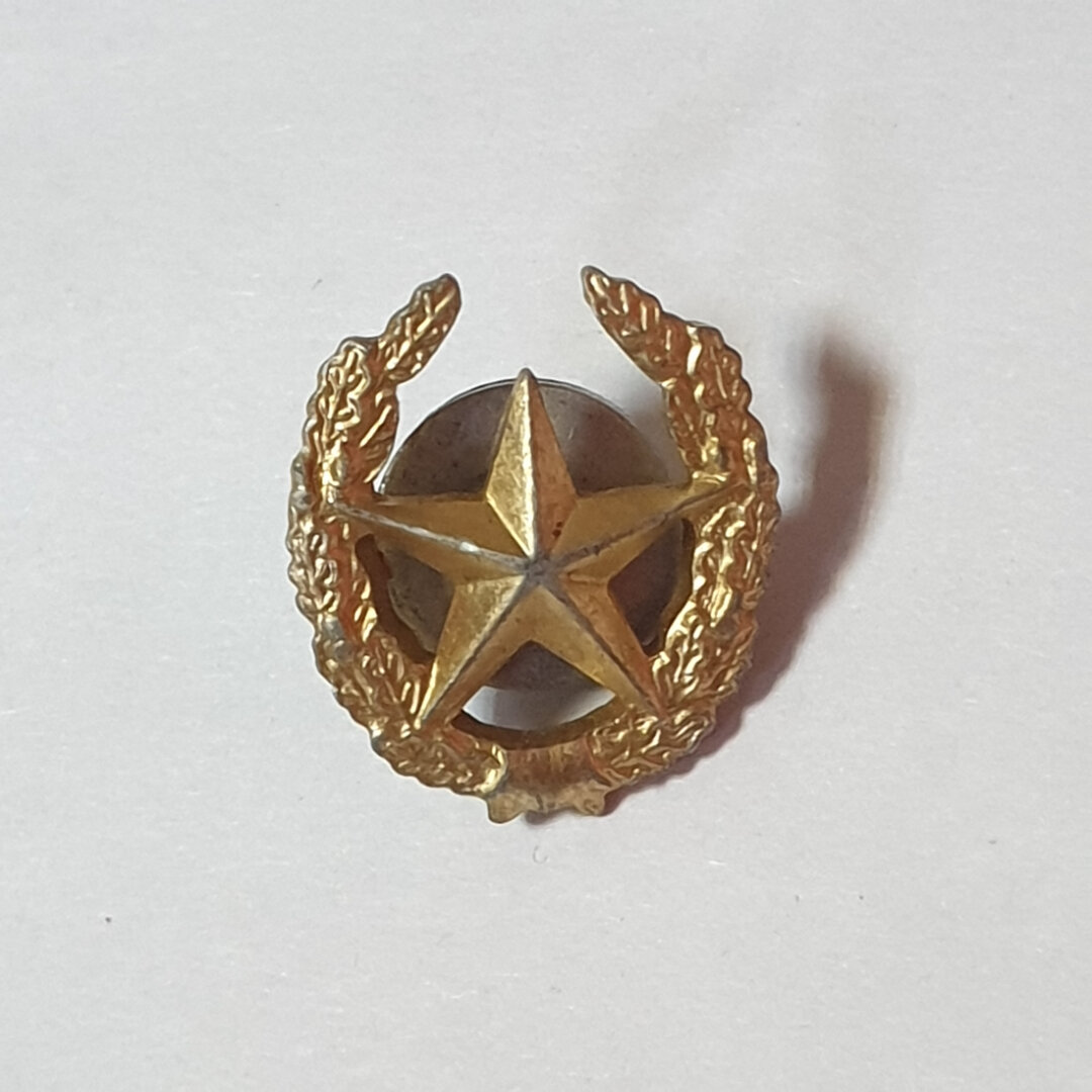 Значок СССР, Звезда на лавровом венке, металлический, коллекционный, советский и винтажный.