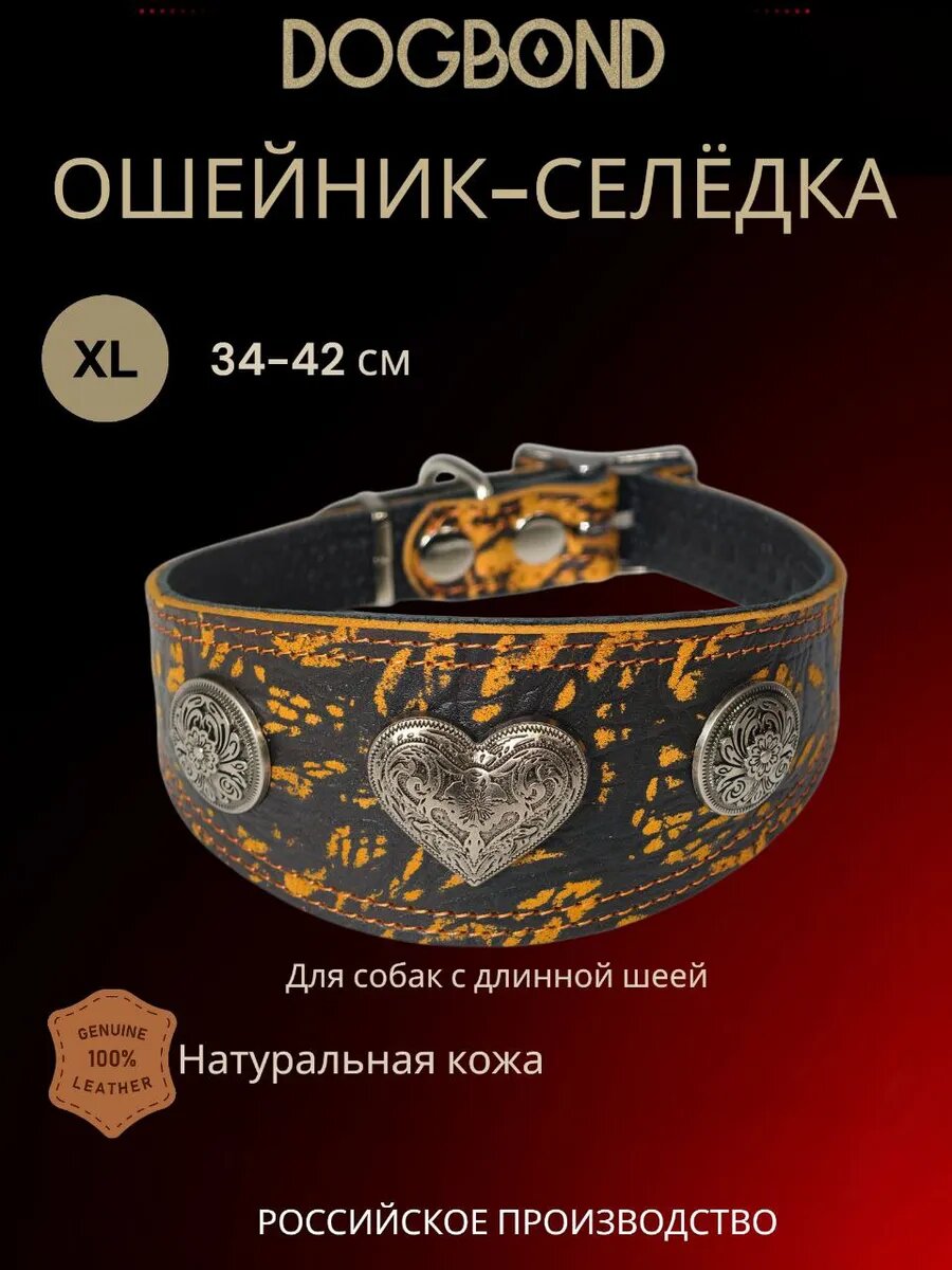 Ошейник-селедка Dogbond для грейхаундов и борзых собак