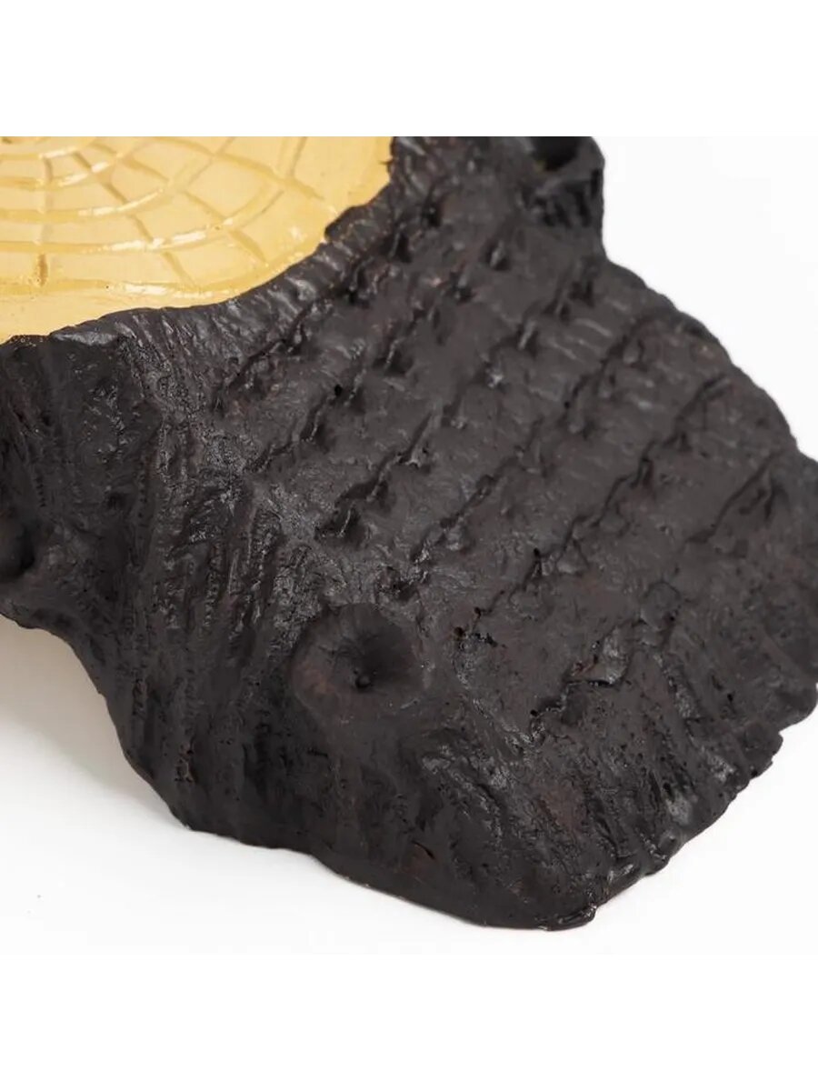 Естественное укрытие для террариума