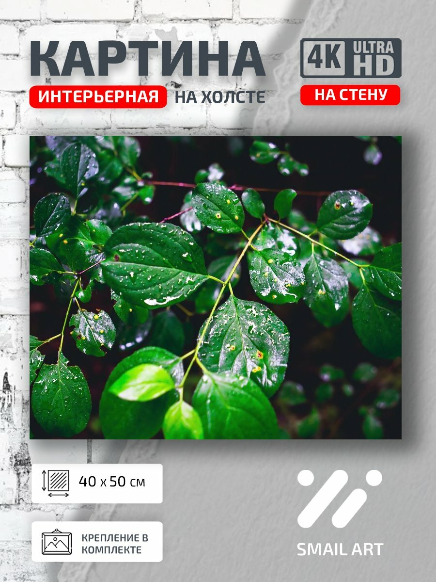 Картина на холсте интерьерная 40 на 50 на стену Дождь Landscape для офиса пейзаж интерьер