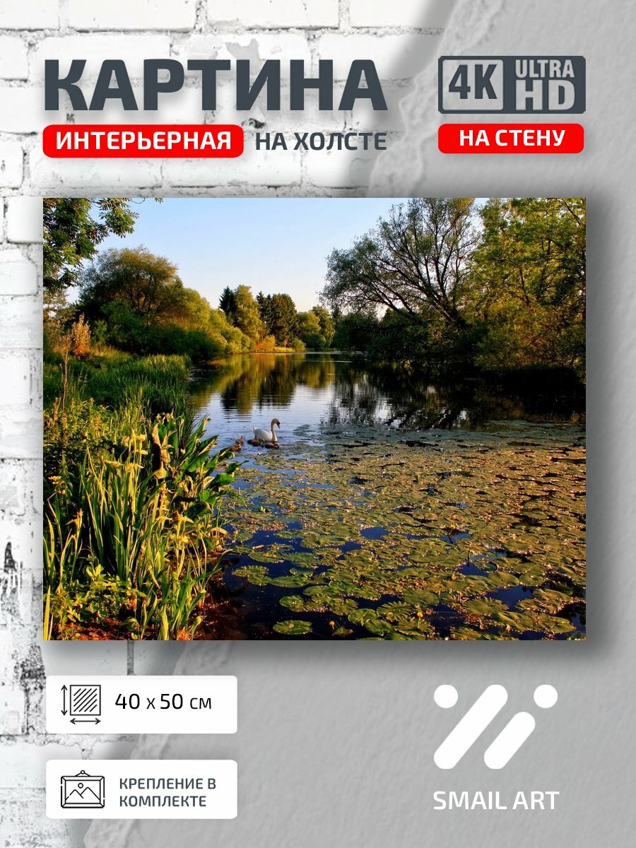 Картина на холсте интерьерная 40 на 50 на стену Кувшинки Landscape для офиса пейзаж декор