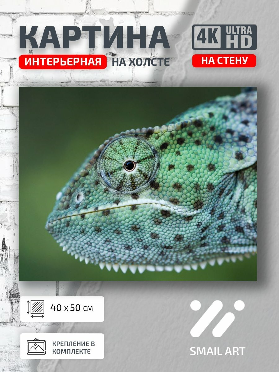 Картина на холсте интерьерная 40 на 50 на стену Ящерица Macro для студии макро интерьер