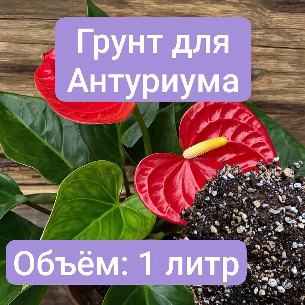 Грунт для Антуриума, 1 литр Универсальный для Ароидных растений