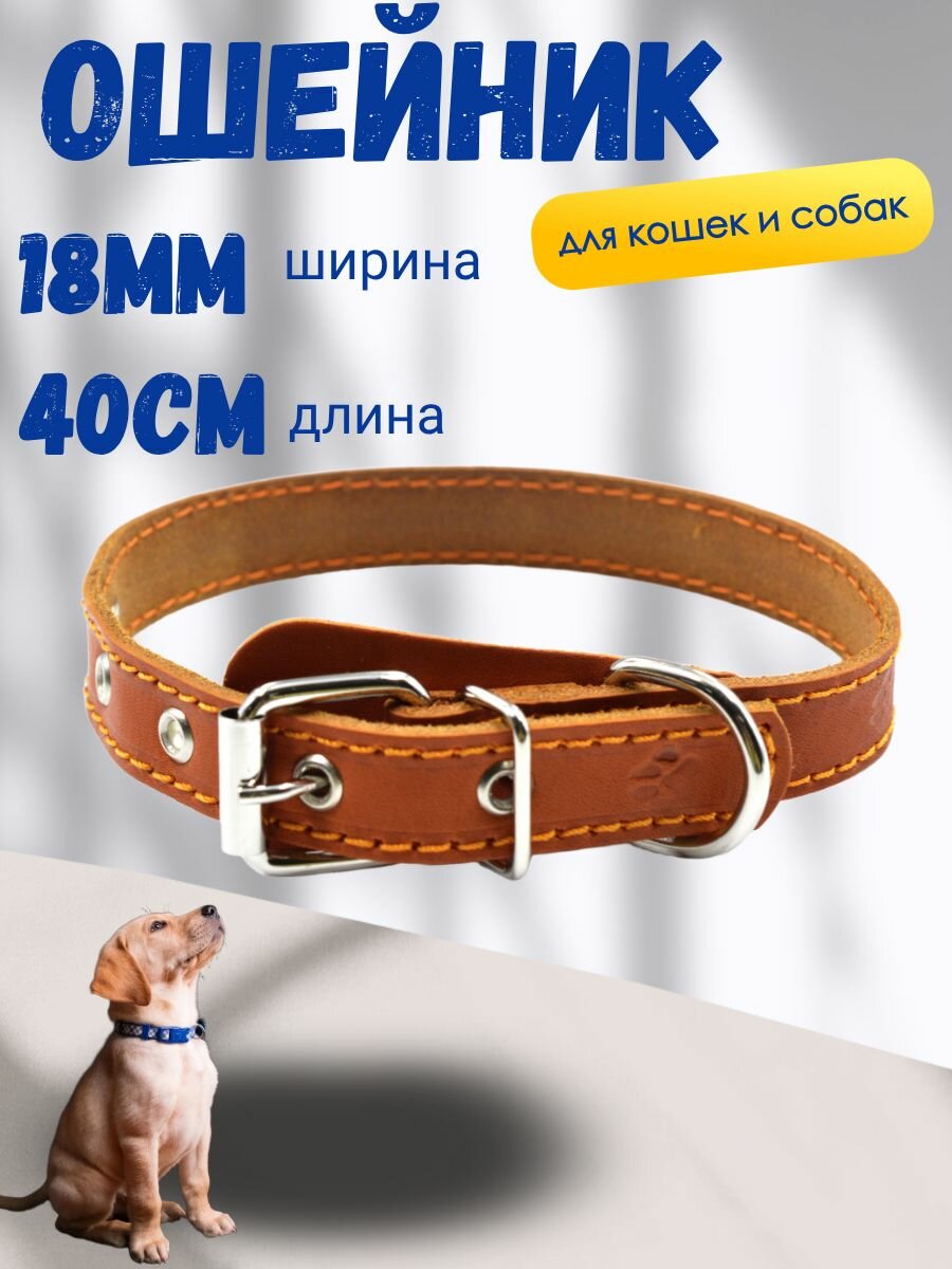 Ошейник шутик 18мм (кожа) неукр (кор.) 28 - 40 см