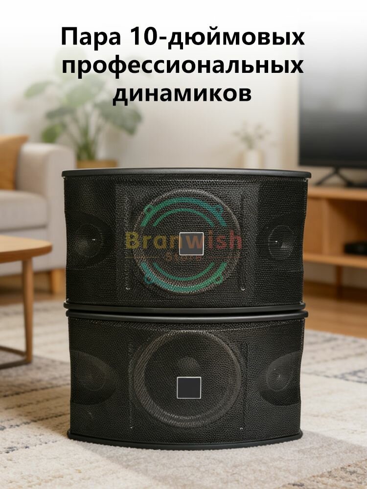 Динамик с сабвуфером, 10 дюймов, черный, высокая чувствительность, аудиосистема KTV для домашней сцены (2 динамика)