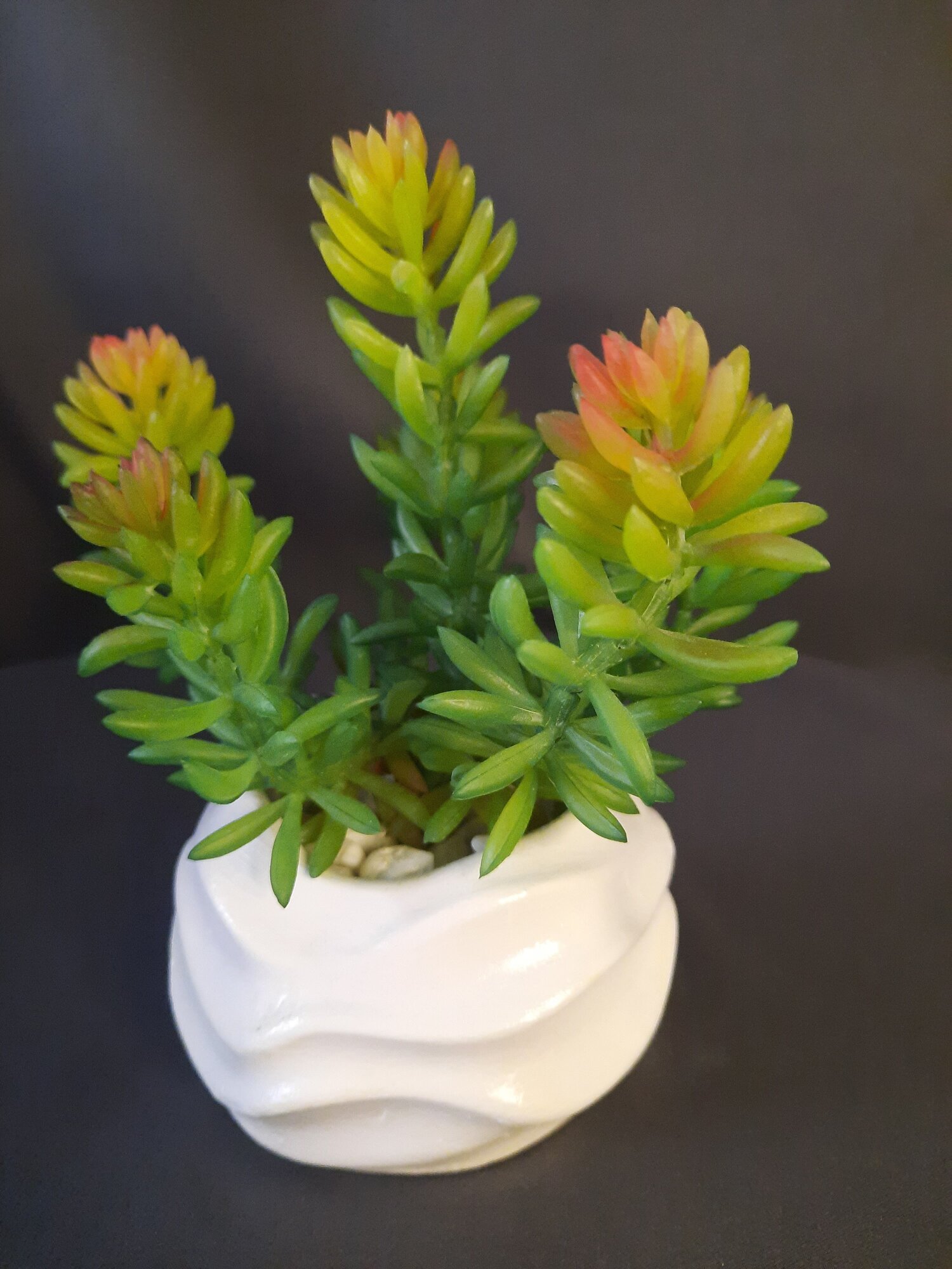 Декор для дома, офиса ручной работы - саккуленты в кашпо из гипса