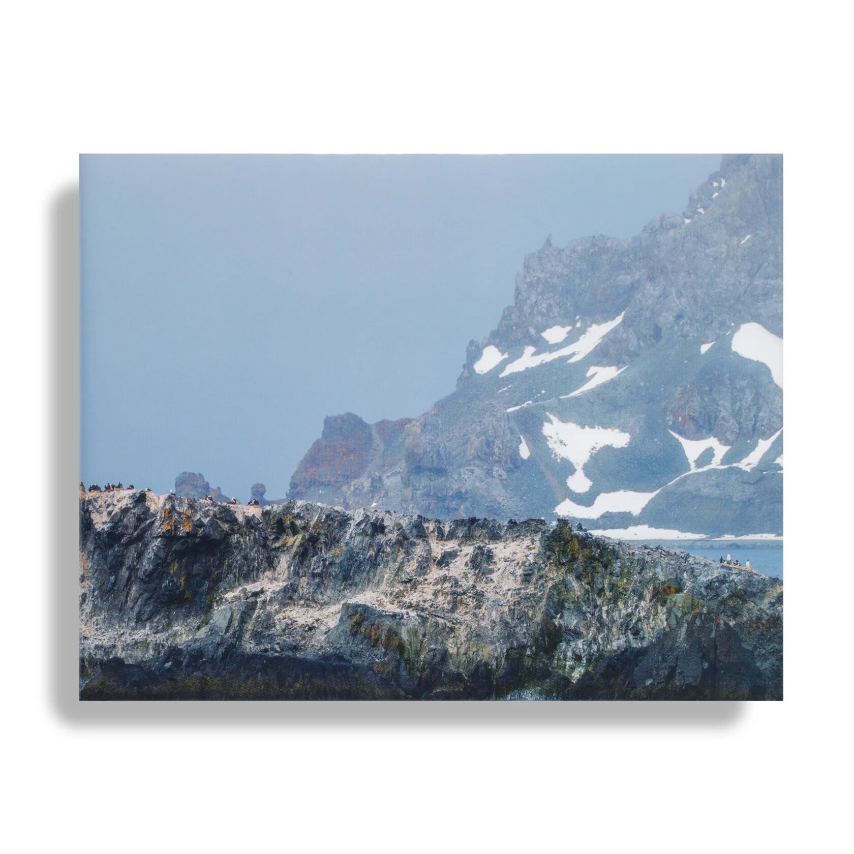 Альбом «Антарктика» / Плотников Д.