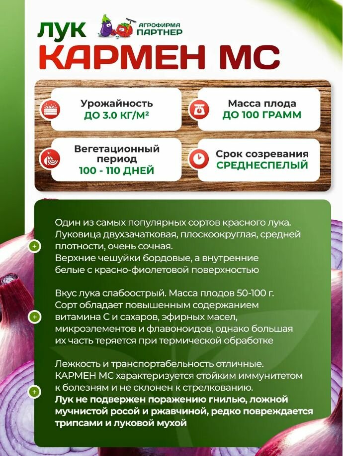 Семена лука Кармен МС — фото 1