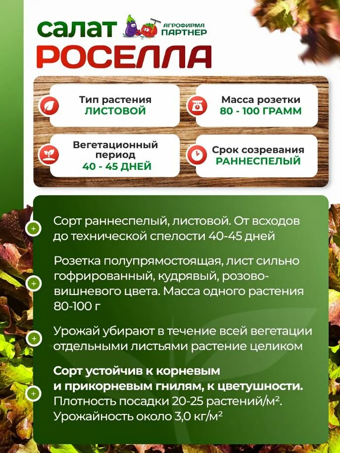 Семена салата Роселла — фото 1