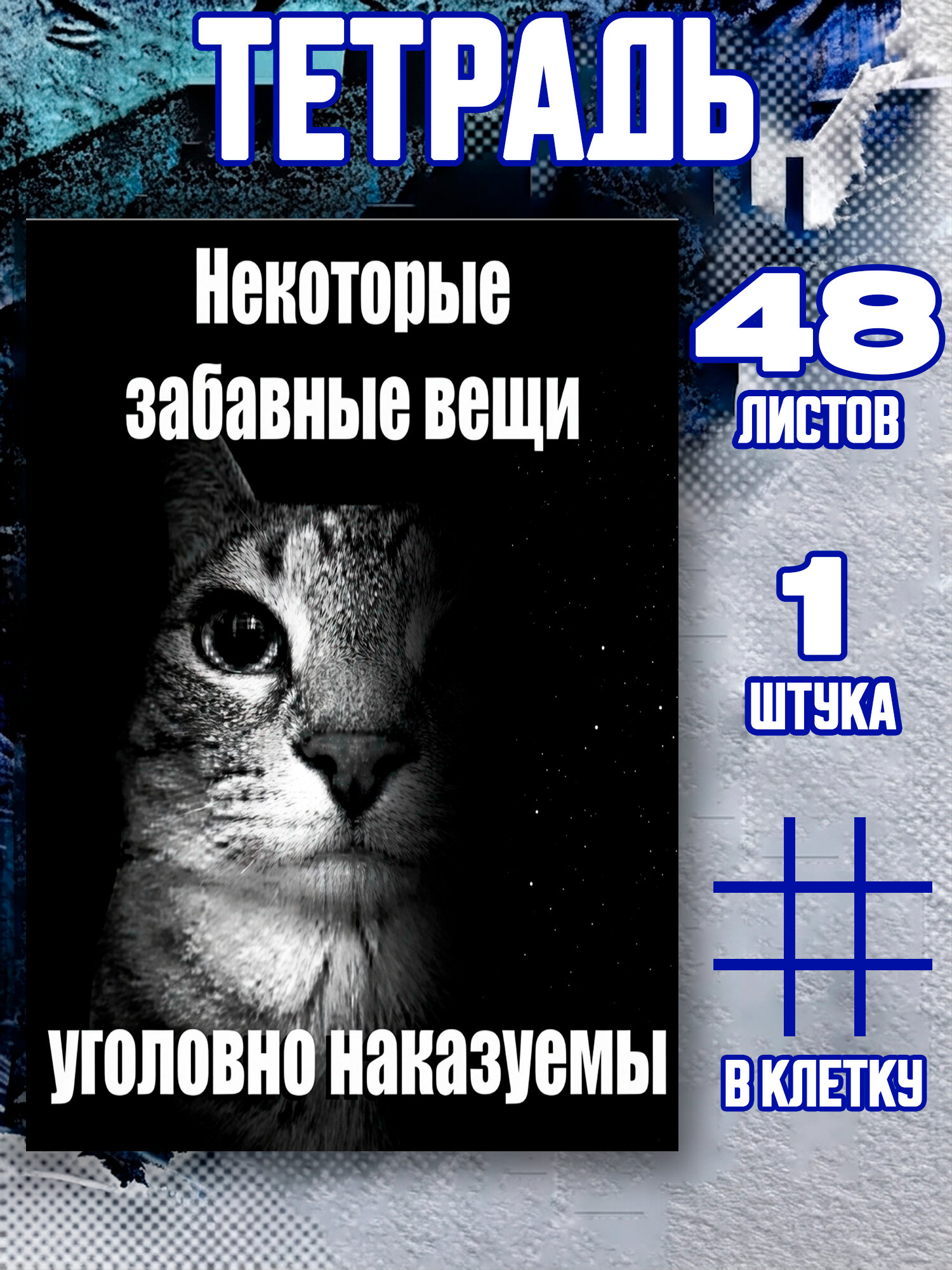 Тетрадь-мем "Кот предупреждает" 48 листов в клетку