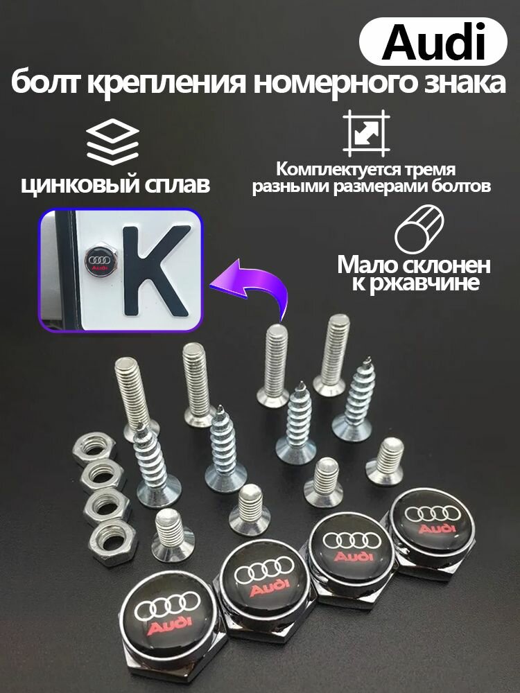 Комплект болтов крепления номерного знака с логотипом Audi. 4 шт.