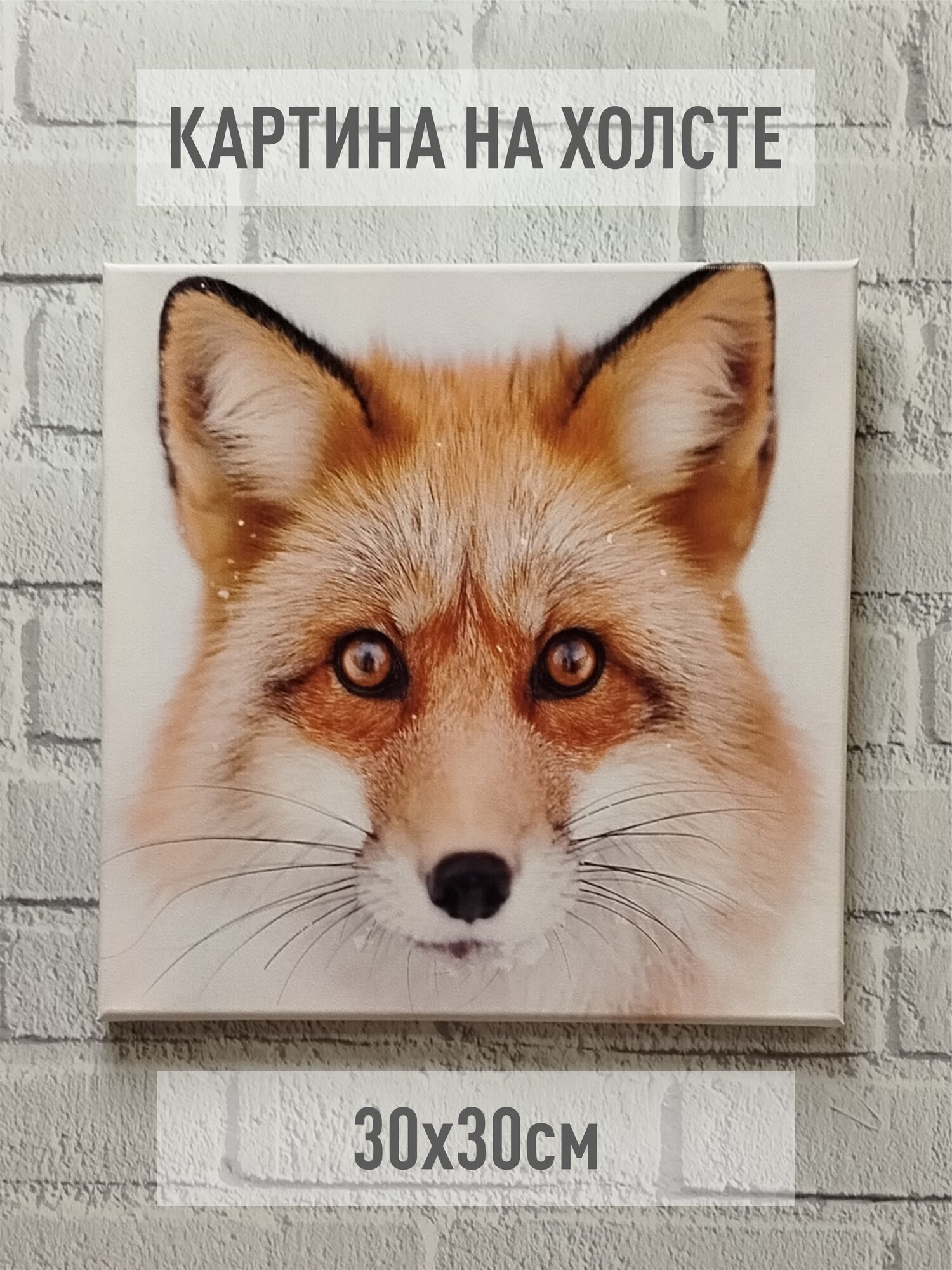 Картина "Рыжий лис", холст из 100% хлопка, УФ-печать, 30x30 см