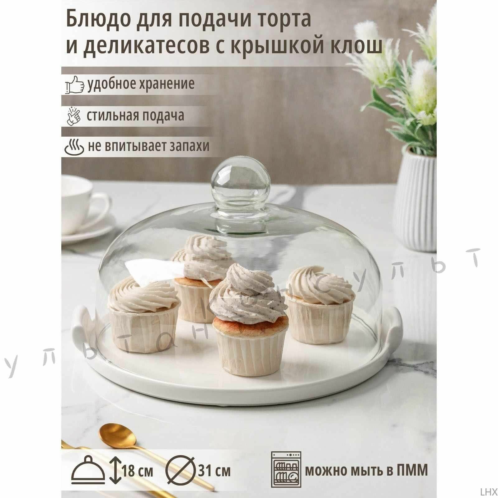 Тортница