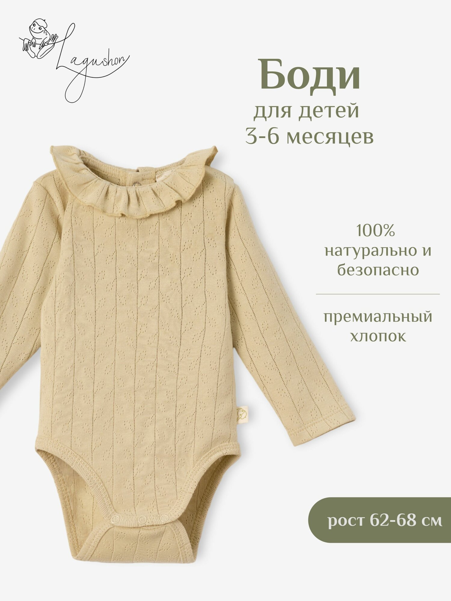 Боди