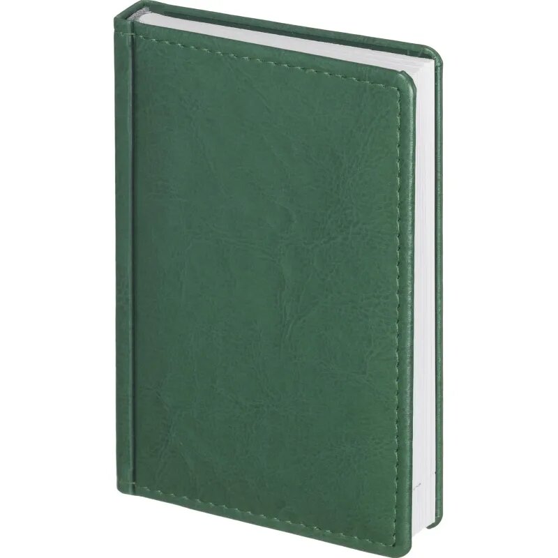 Ежедневник датированный 2026, зеленый, А6, 100х150 мм,336 стр, Agenda