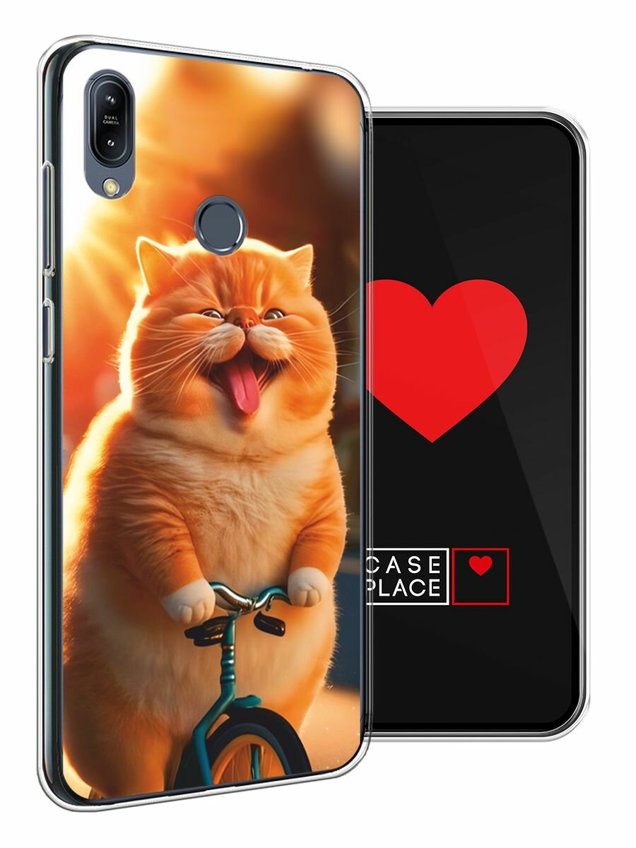 Чехол на Asus Zenfone Max M2 ZB633KL / Асус Зенфон Макс М2 ZB633KL с принтом "Кот на велике" — фото 1