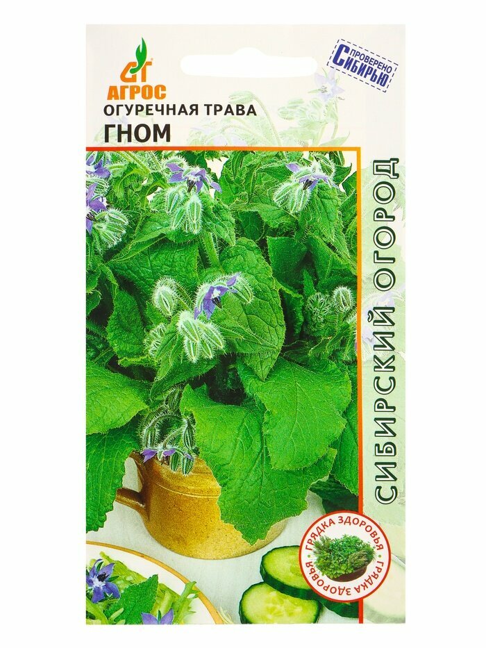 Семена Огуречная трава "Гном" 0,5 г 10944093