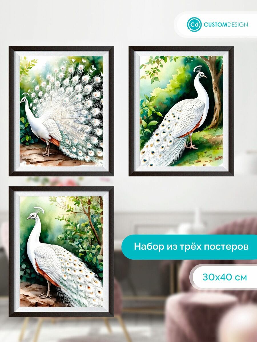 Постеры на стену для интерьера Птицы 30х40 см 3 штуки