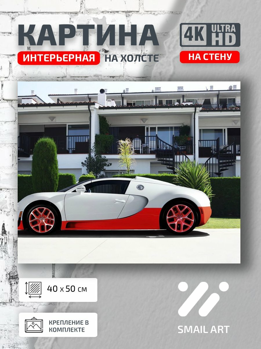 Картина на холсте интерьерная 40 на 50 на стену Коттеджа Bugatti для спальни animal style