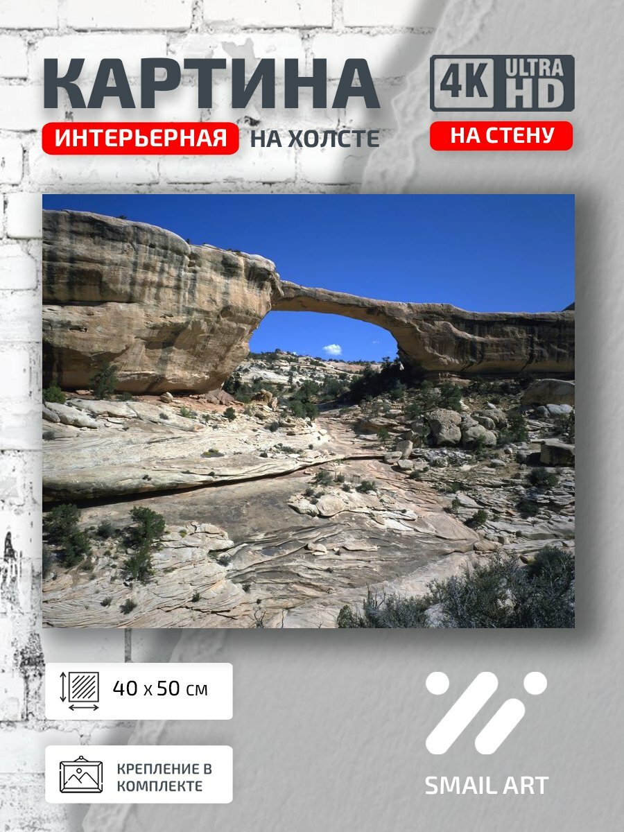 Картина на холсте интерьерная 40 на 50 на стену Яркая Bridges для офиса урбанистика декор