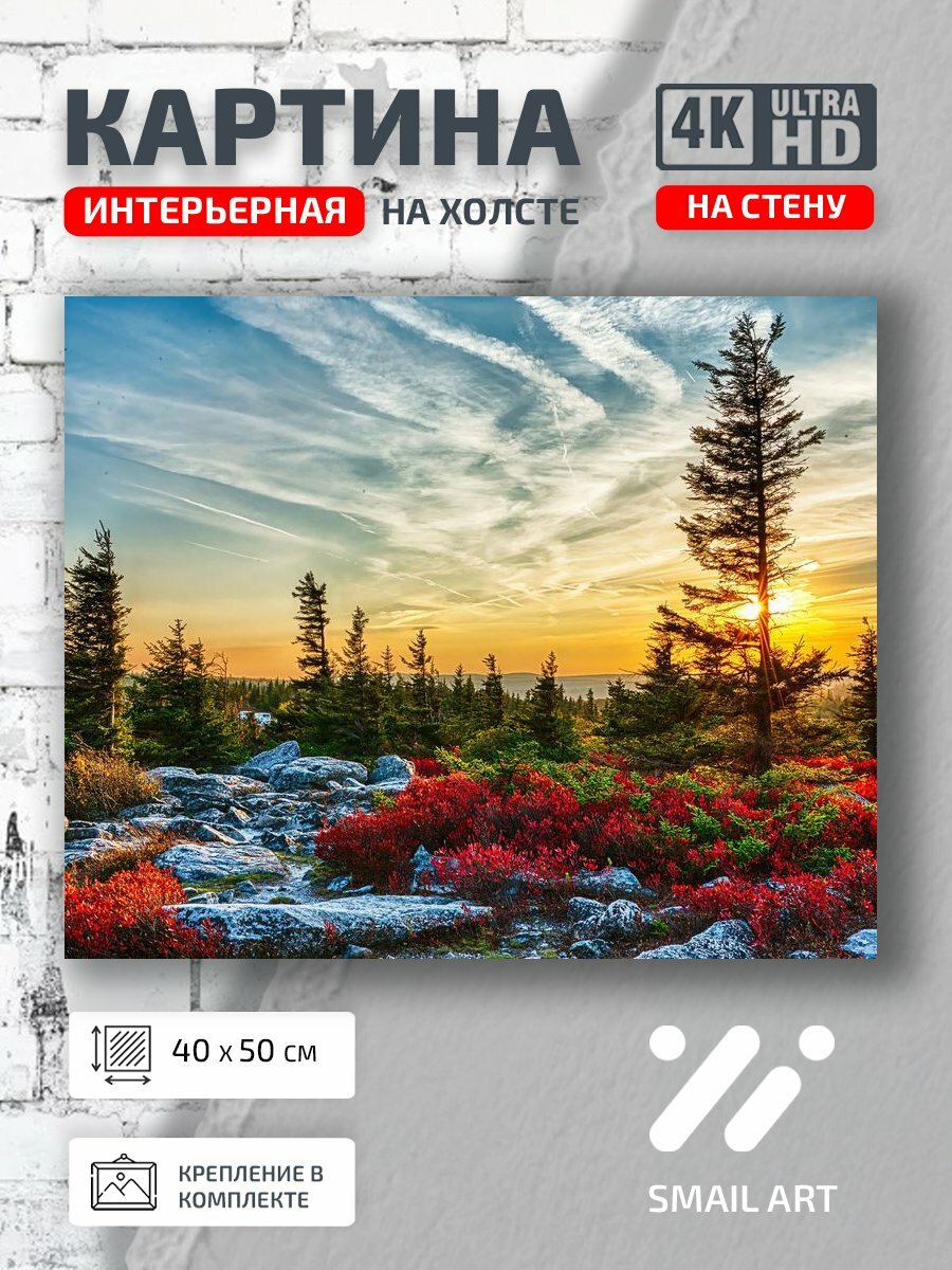 Картина на холсте интерьерная 40 на 50 на стену Камни Landscape для кафе пейзаж интерьер