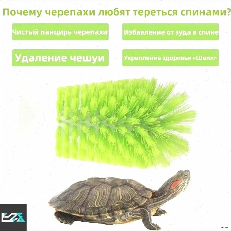Эксклюзивный гигиенический аксессуар для ухода за рептилиями: скребница с вакуумными присосками для панциря черепахи в зеленом цвете